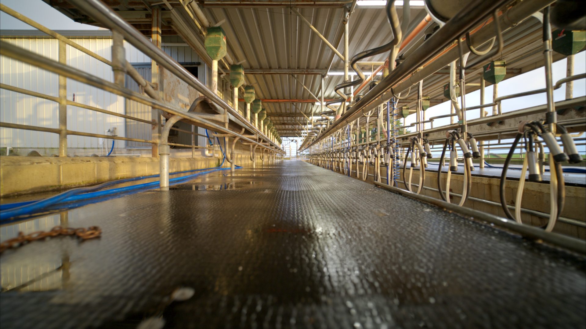 Upgrade Your Farm | Rubber Mats for Dairy Farms