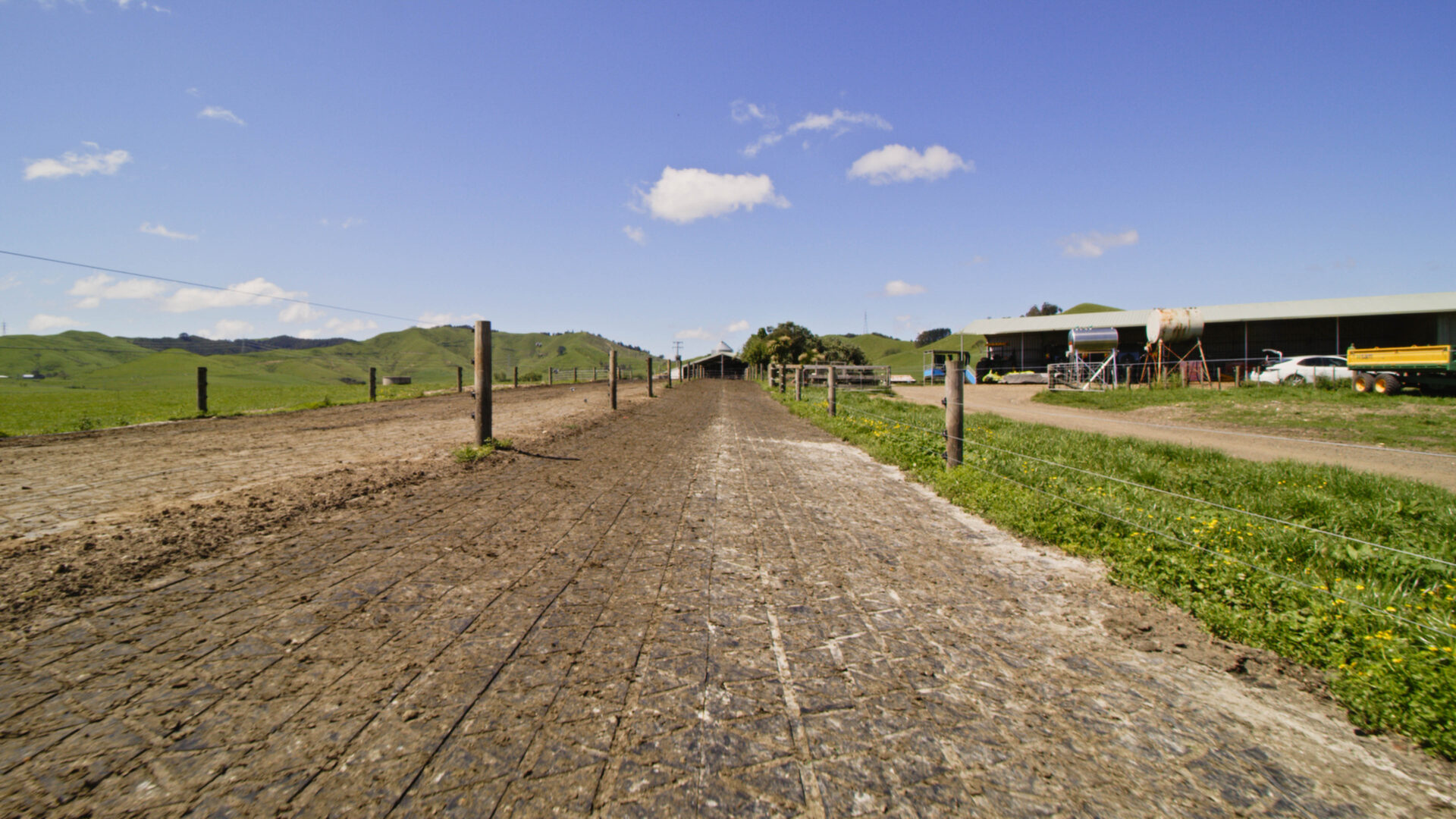 Upgrade Your Farm | Rubber Mats for Dairy Farms