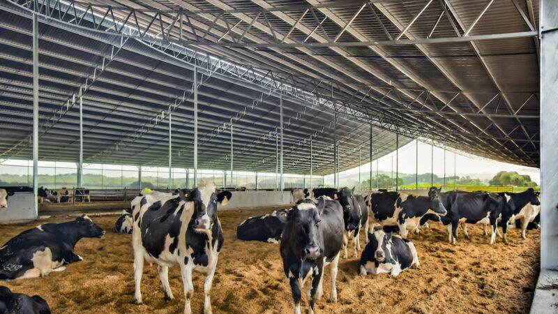 What is a Composting Barn?