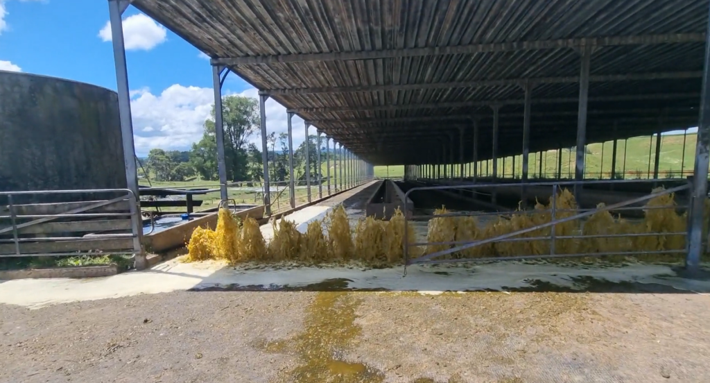 Flood Wash System with Rubber Matting