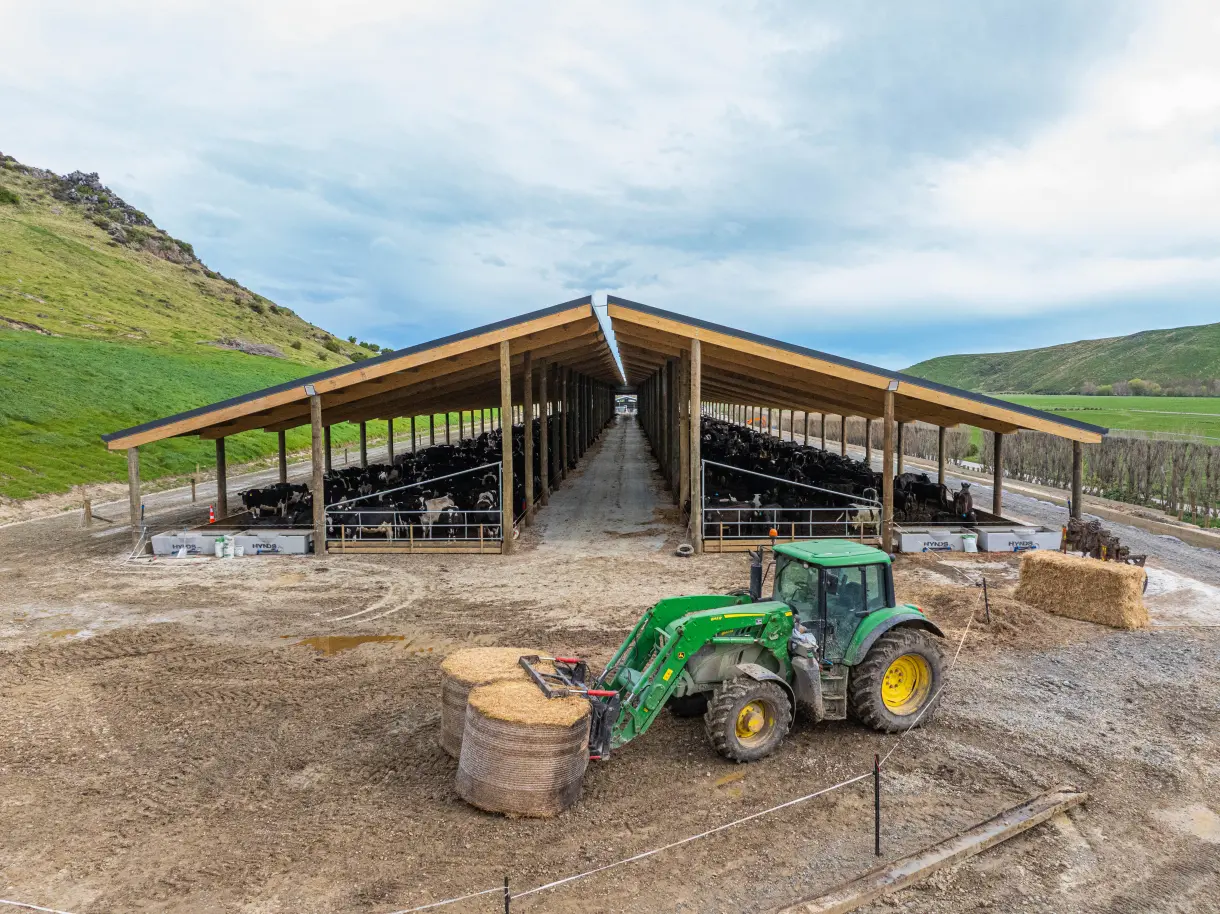 Dairy Conversion: Willesden Farms Composting Barn