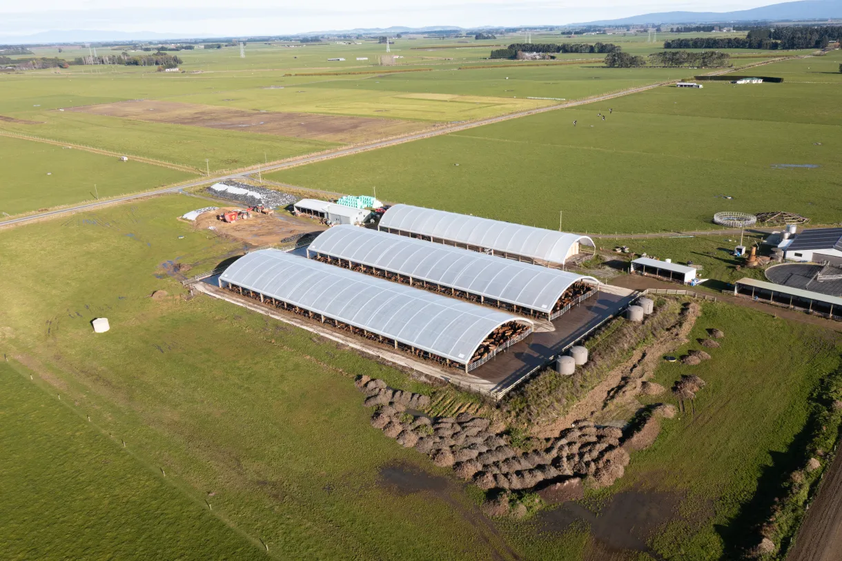 Wintering & Feed Barn with Flood Wash & Rubber Mats
